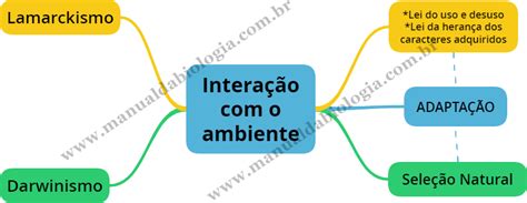 Qual A Ideia Em Comum Entre O Lamarckismo E O Darwinismo
