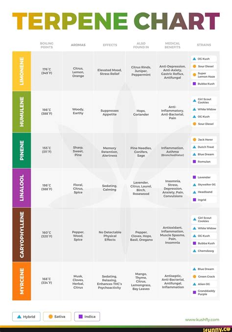 Terpene Chart Boiling Points Al Wi Ww Ww Aromas Citrus Lemon Orange