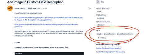 Add Image To Custom Field Description