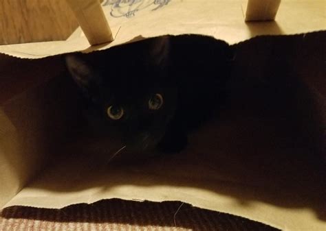 The Void Is Everything R Eyesofthevoid