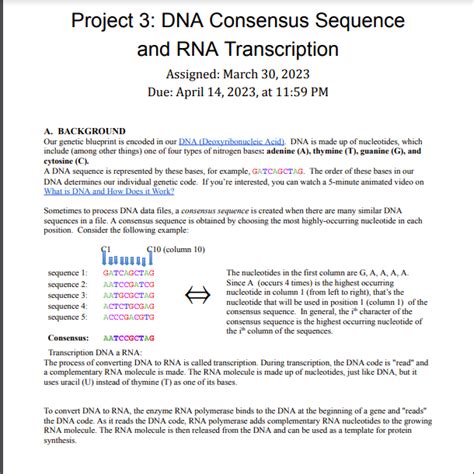 Project 3 Dna Consensus Sequence And Rna
