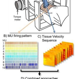 Overview Of Data Detection And Analysis A Simultaneous Acquisition Of Download Scientific