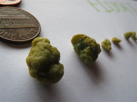 Ravishing Raw Blog Archive Liver Gallbladder Flush