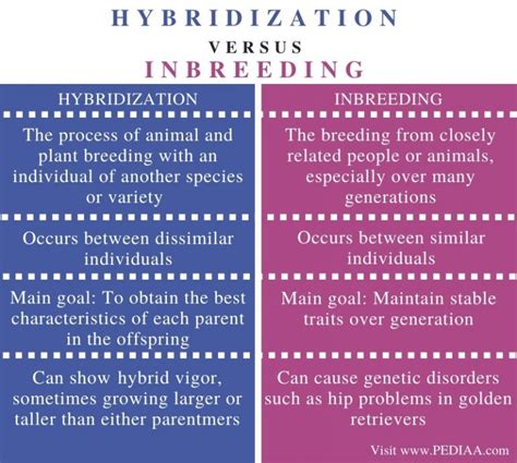 What Is The Difference Between Hybridization And Inbreeding Pediaa Com
