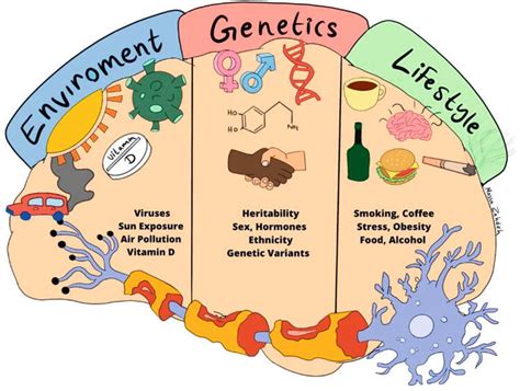 Exploring The Genetic Factors Of Multiple Sclerosis Ask The Nurse Expert