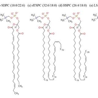 Molecular Structures Of A DSPC B SDPC C DTSPC D HSPC And Download Scientific