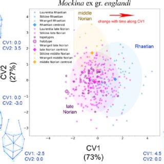 Canonical Variate Analysis CVA Biplots For Mockina Ex Gr Englandi