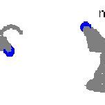 Sample Generalized Codebook Entry The Figure Illustrates The Location Download Scientific