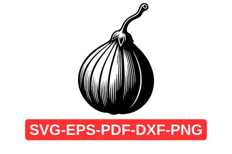 Stylish Fig Svg Logo Organic Branding Graphic By Artful Assetsy
