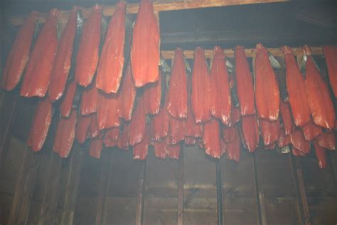 Indigenous Food Systems Are Providing Pathways To Generational Healing