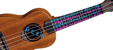 Como tocar Ukulele NÃO PEGUE VICIOS AO TOCAR