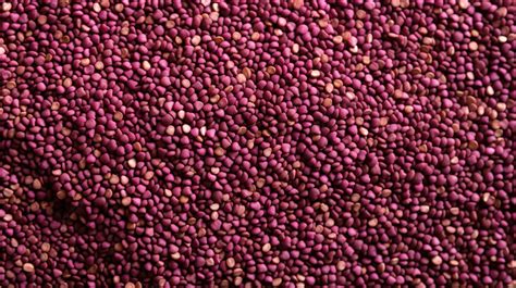 Close Up Top View Of Organic Amaranth Seeds Nutrient Rich Superfood For