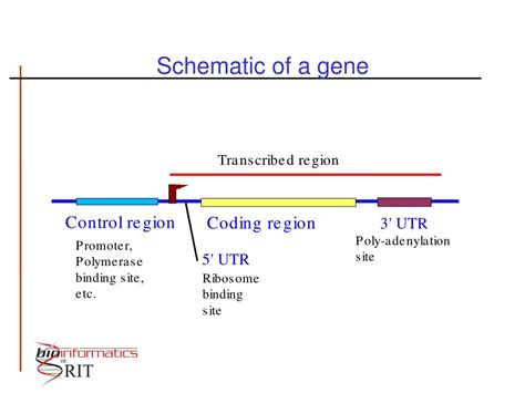 Ppt Bioinformatics As Hard Disk Investigation Powerpoint Presentation