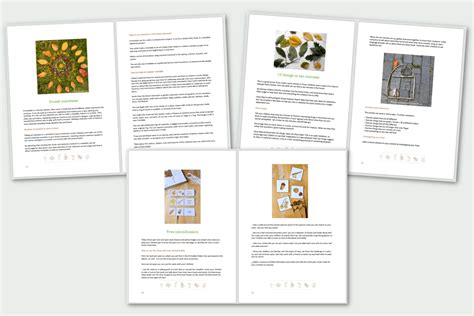 The Forest Classroom Beginner S Guide To Forest School Nurturestore