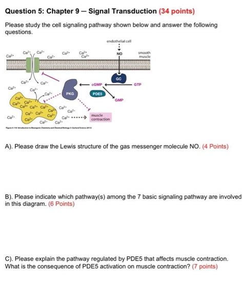 solved question 5 chapter 9 signal transduction 34