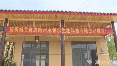 白果村：深加工增强葛仙米附加值 带动村民增收致富 湖北日报新闻客户端