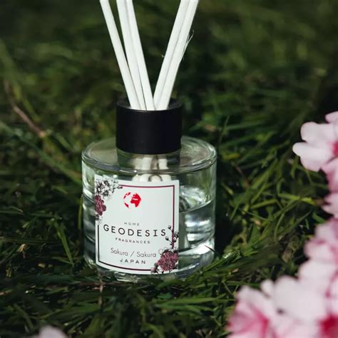 100ml Reed Diffuseur Sakura