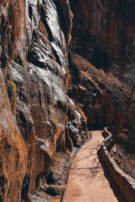 Go Wild For A While On Tumblr