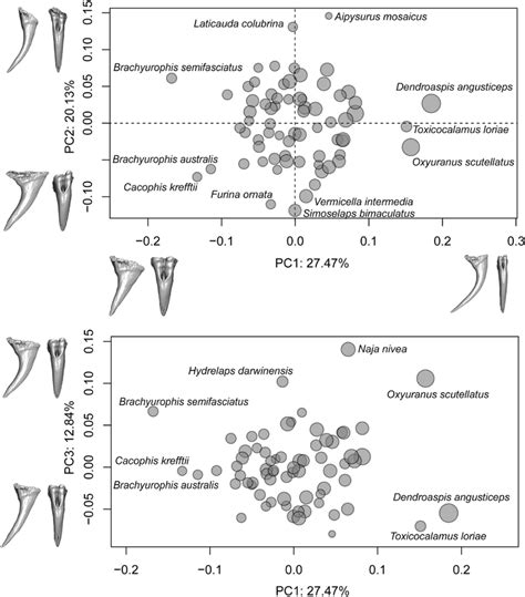 principal component pc analysis plots showing the three main axes of