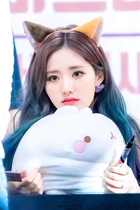Kitten Jiwon Scrolller