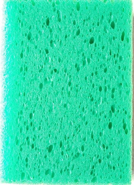 Premium Photo Sponge Texture Background