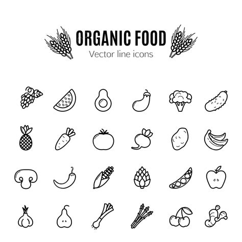 Organic Produce Icon Set With Vegan Bio Pictograms Vector Radish