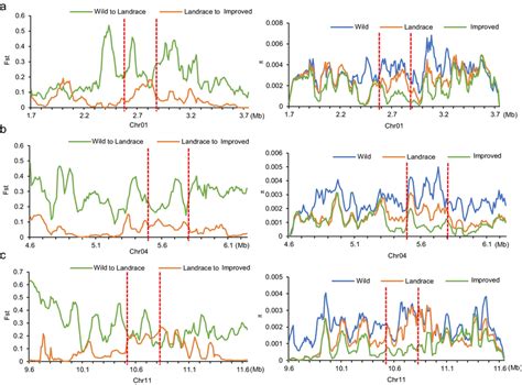Selection Signals On Candidate Genomic Region Of Loci Identified For Download Scientific
