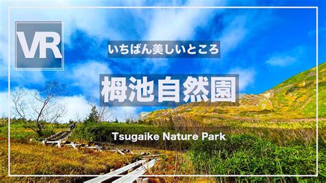 5 7K VR 高画質 360Japan Travel 栂池自然園 長野県小谷村 Nagano VRゴーグル推奨 YouTube