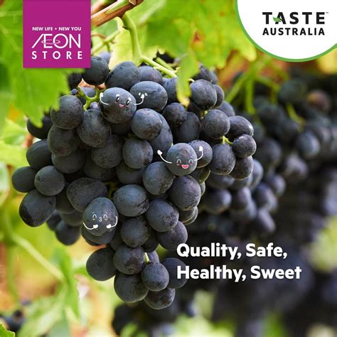 Halo Aeon Friends Produsen Buah Aeon Store Indonesia