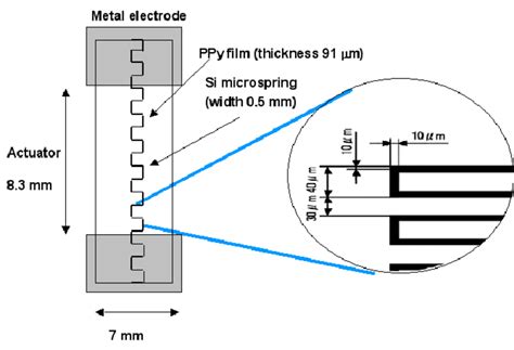1 Design Of The Ppy Driven Silicon Linear Actuator A Corresponds To