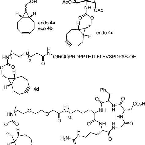 Bcn Strained Alkyne Functionalized Biomolecules 4 A E Download Scientific Diagram