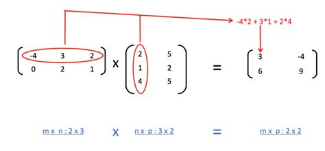 Beginners Introduction To Matrices