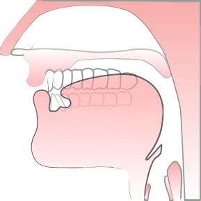 Pronounce V Sound Pronuncian American English Pronunciation
