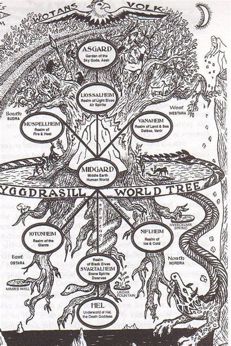 Yggdrasil World Tree In Norse Mythology Yggdrasil Dr S L