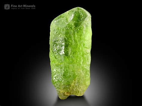 Peridot With Ludwigite Inclusion From Pakistan Prd 01 Fine Art Minerals