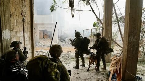 כמה חיילים לקו בהלם קרב ופוסט טראומה במלחמת חרבות ברזל וואלה חדשות