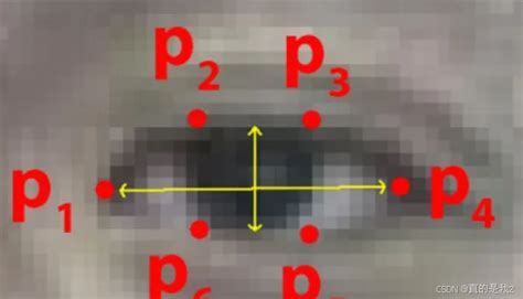 Python Opencv