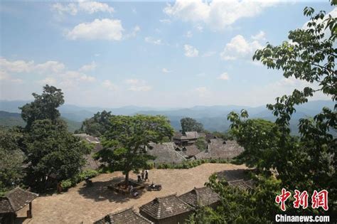 云南普洱：多举措保护景迈山古茶林文化景观 荆楚网 湖北日报网