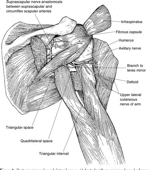 Quadrangular Space Drawing