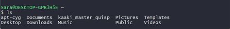10 basic shell commands every programmer should know by sara a