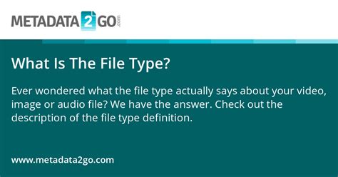 What Is The File Type