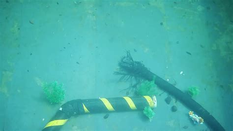 Submarine Cable Object Detection Model V2 2025 08 11 410pm By Wmuu