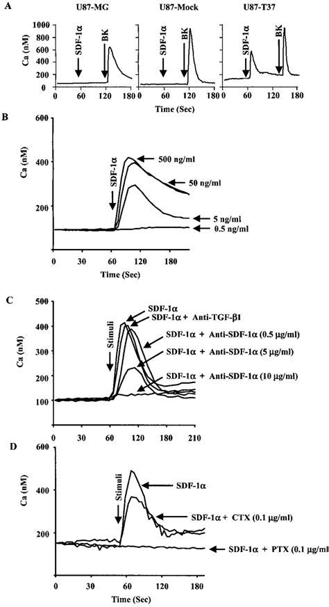 Calcium Flux In U87 T37 Cells In Response To Sdf 1 A U87 Mg U87 Mock