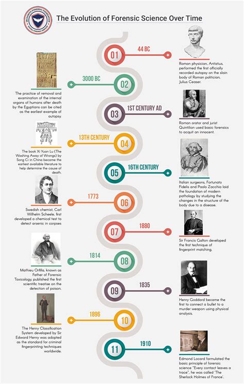 History Of Science Timeline Display Poster Science Ti
