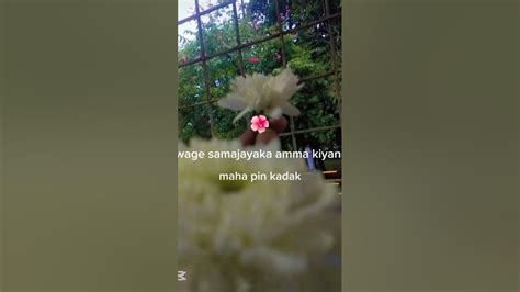 අම්මට තමන්ගේ පණටත් වඩා ආදරේ අය කවුද බලමු🥰 Youtube