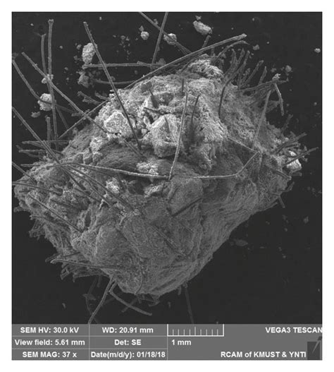Pva Fibers Distribution In Cement Matrix A Ecc P2 B Ecc P3