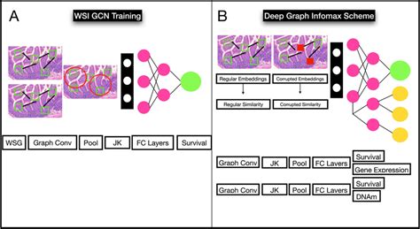 Unimodal Wsi Gcn Pretraining A Gcn Pretrained To Predict Survival