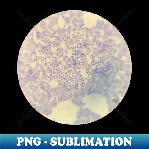 Science Pattern Exclusive Png Sublimation Download Stunn Inspire