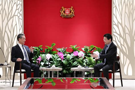 China Singapore Strengthen Bilateral Relations Tdi