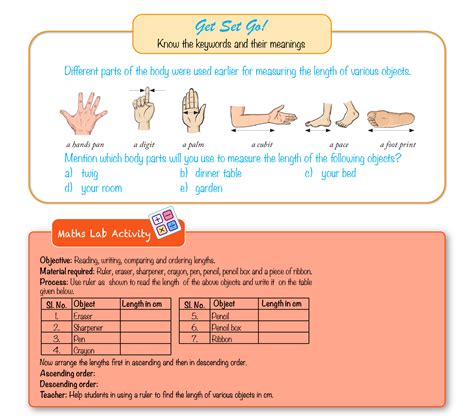 Cellular Respiration